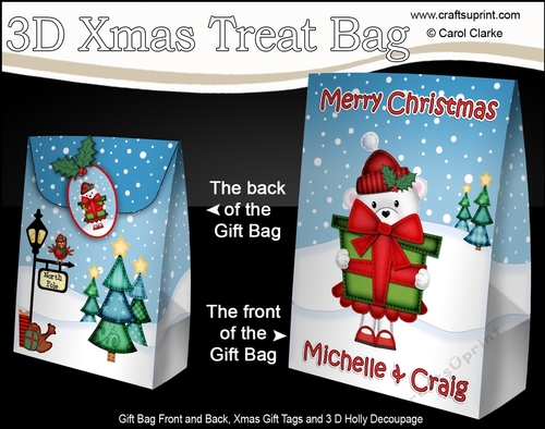 3D Merry Christmas MICHELLE & CRAIG Large Gift Bag Mini Kit - CUP924468 ...