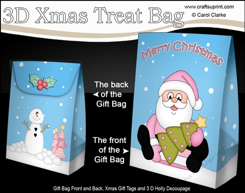 3D Christmas Gift Bag Mini Kit - Santa has an Xmas Tree - CUP927755_359 ...