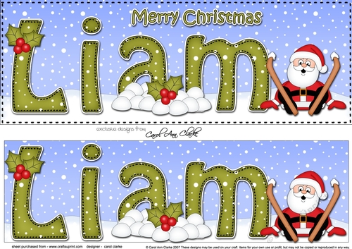 Large DL Merry Christmas LIAM 3D decoupage - CUP943864_359 | Craftsuprint
