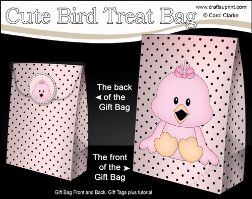 3D Gift Bag Mini Kit - Cute Little Chick Tweet - CUP944841_359 ...