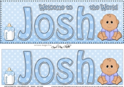 Large DL Welcome to the World JOSH 3D decoupage - Photo by Margaret Scott