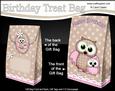 3D Cute Hoot & Little Hoot Owls Birthday Gift Bag Mini Kit - CUP547582 ...
