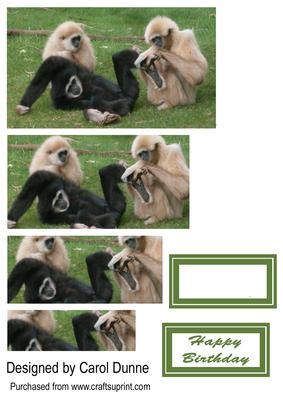 Funny Monkey Card - CUP101657_173 | Craftsuprint