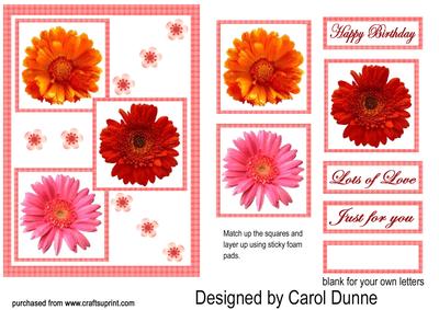 Three Squares - Gerberas - CUP229263_173 | Craftsuprint