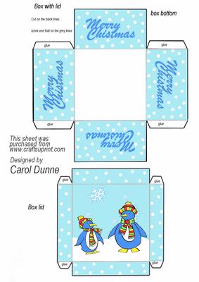 Square Penguin Box - CUP26516_173 | Craftsuprint