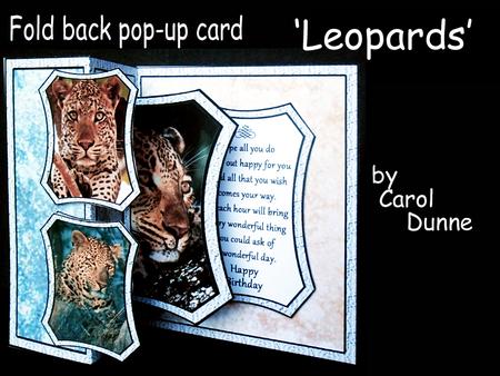 Fold Back Pop-up Leopards Birthday - CUP594866_173 | Craftsuprint