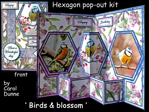 Hex Birds & blossoms - CUP972978_173 | Craftsuprint