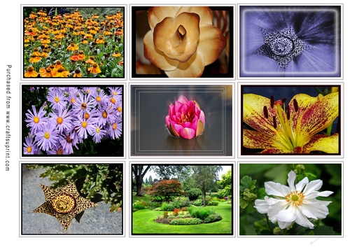 ATC Card Fronts Set - CUP1183194_59450 | Craftsuprint