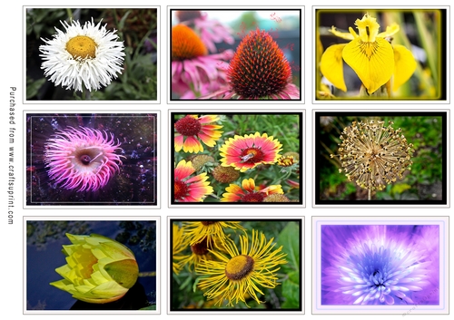 ATC Card Fronts Set - CUP1183201_59450 | Craftsuprint