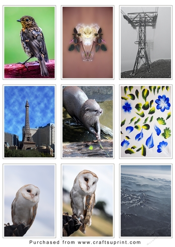 ATC Card Fronts Set - CUP1183212_59450 | Craftsuprint