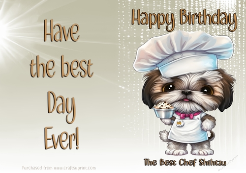 NCJP Birthday Card Animal Occupations - Chef Shih Tzu - CUP1207983 ...