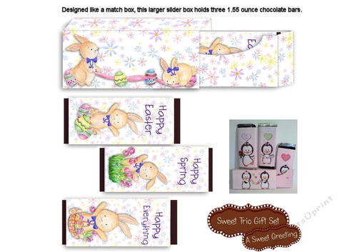 Spring Trio 1.55 ounce Chocolate Bar Trio Gift Box - CUP1028255_80573 ...