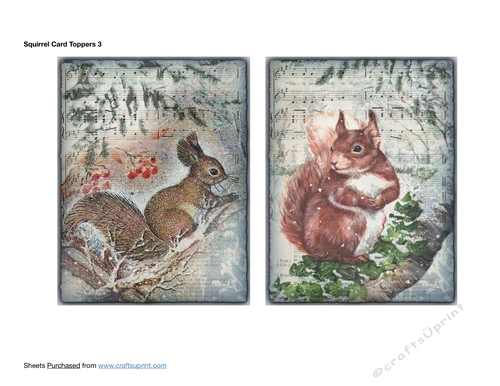 Squirrel Card Toppers 3 - CUP1263753_87117 | Craftsuprint