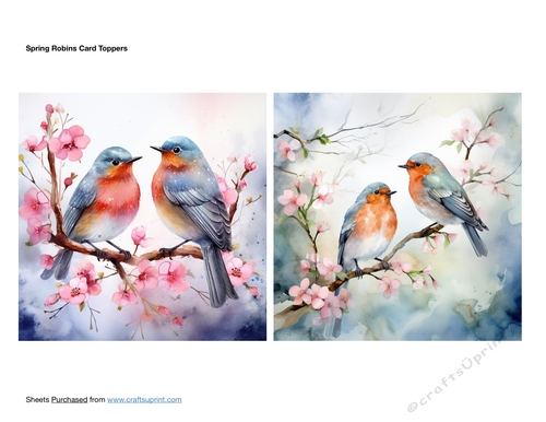 Spring Robins Card Toppers - CUP1280221_87117 | Craftsuprint