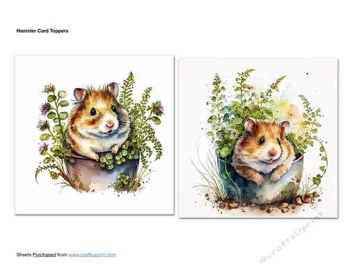 Hamster Card Toppers - CUP1285928_87117 | Craftsuprint