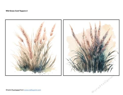 Wild Grass Card Toppers 2 - CUP1291400_87117 | Craftsuprint