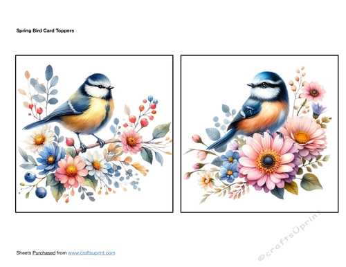Spring Bird Card Toppers - CUP1303623_87117 | Craftsuprint