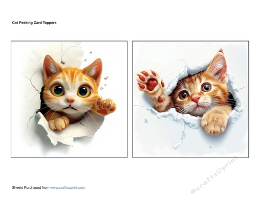 Cat Peeking Card Toppers - CUP1339293_87117 | Craftsuprint