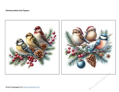 Christmas Birds Card Toppers - CUP1340371_87117 | Craftsuprint