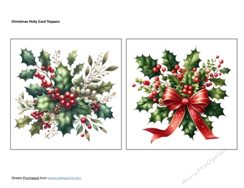 Christmas Holly Card Toppers - CUP1345496_87117 | Craftsuprint