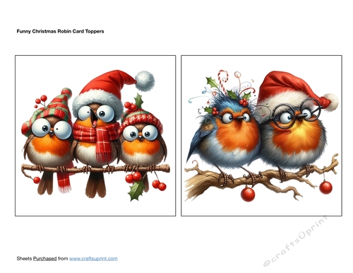 Funny Christmas Robin Card Toppers - CUP1349475_87117 | Craftsuprint