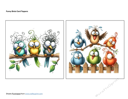 Funny Birds Card Toppers - CUP1352967_87117 | Craftsuprint