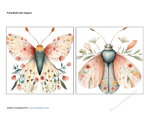 Floral Moth Card Toppers - CUP1360578_87117 | Craftsuprint