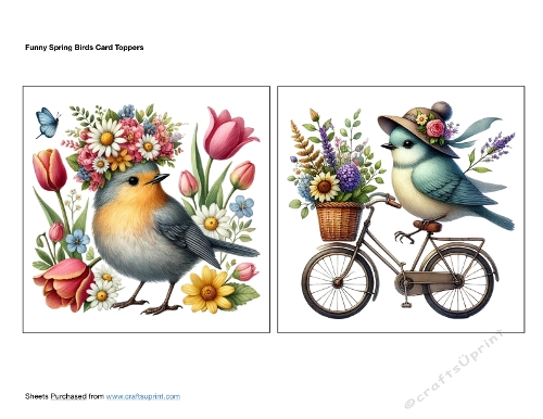 Funny Spring Birds Card Toppers - CUP1361624_87117 | Craftsuprint