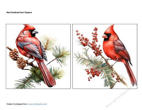 Red Cardinal Card Toppers - CUP1366832_87117 | Craftsuprint