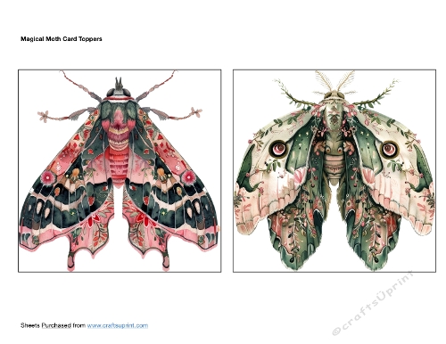 Magical Moth Card Toppers - CUP1367747_87117 | Craftsuprint