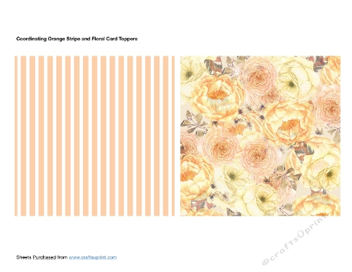 Coordinating Orange Striped and Floral Card Toppers - CUP1374951_87117 ...