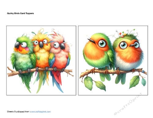 Quirky Birds Card Toppers - CUP1375601_87117 | Craftsuprint