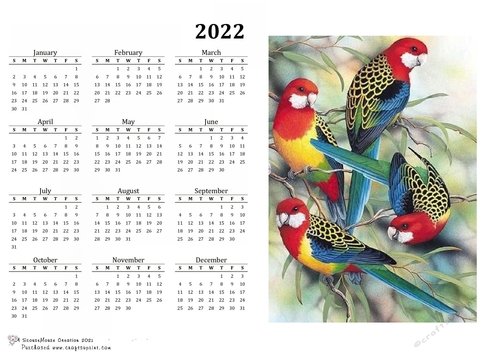 2022 Calendar Parakeets - CUP1137036_4063 | Craftsuprint