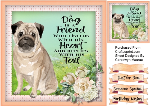 A Mans Best Friend , Pug - CUP1025972_1398 | Craftsuprint