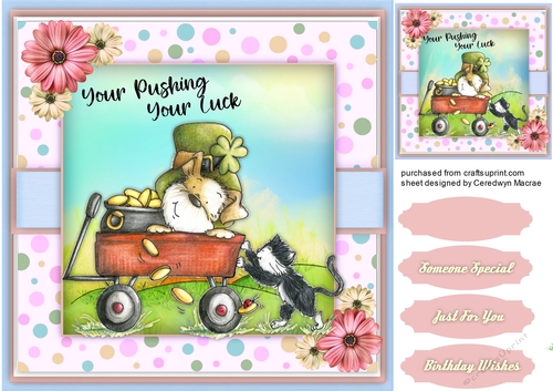 Your Pushing Your Luck - CUP1028134_1398 | Craftsuprint