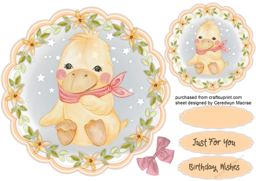 Cute Duck in a Flower Frame - CUP1032517_1398 | Craftsuprint