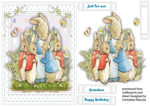 Peter Rabbit and Family - CUP1053448_1398 | Craftsuprint