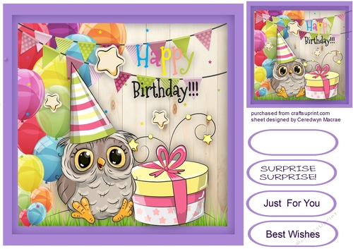 Owls Birthday Surprise - CUP1067495_1398 | Craftsuprint