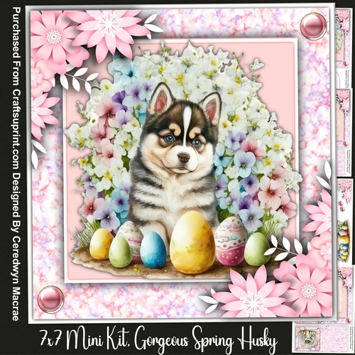 7x Mini Kit, Gorgeous Spring Husky - CUP1197565_1398 | Craftsuprint
