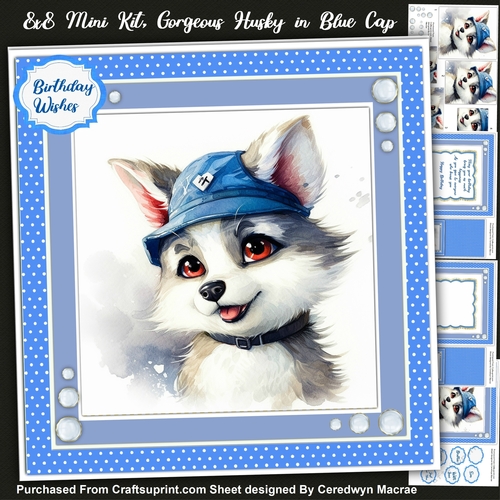 8x8 Mini Kit, Gorgeous Husky in Blue Cap - CUP1208210_1398 | Craftsuprint