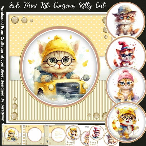 8x8 Mini Kit, Beautiful Kitty Cat - CUP1231077_1398 | Craftsuprint