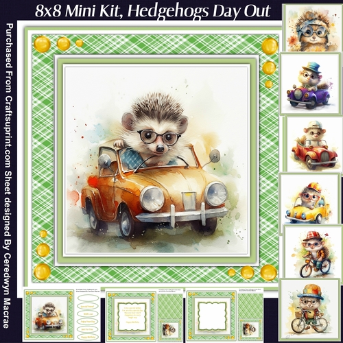 8x8 Mini Kit, Hedgehogs Day Out - CUP1245793_1398 | Craftsuprint