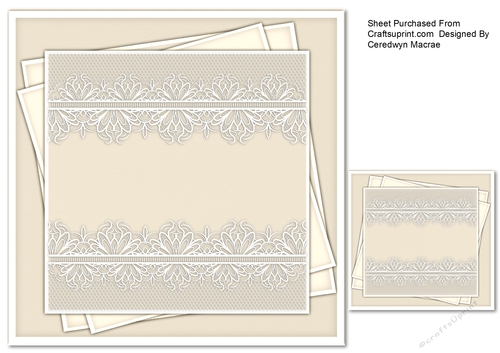 8x8 Beautiful Lace Background , By Request - CUP1277317_1398 | Craftsuprint