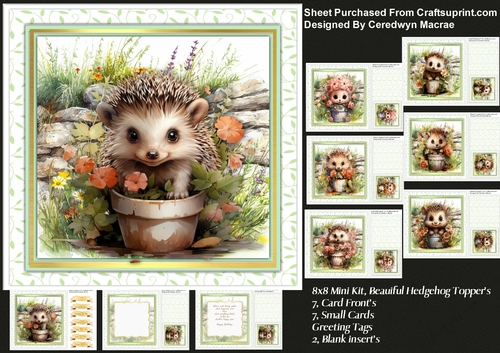 8x8 Mini Kit, Beautiful Hedgehog Toppers - CUP1278818_1398 | Craftsuprint