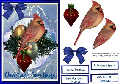 Beautiful Cardinal in a Blue Frame - CUP487688_1398 | Craftsuprint