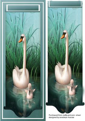 Lovely Swan and Cygnet in the Reeds - CUP542257_1398 | Craftsuprint