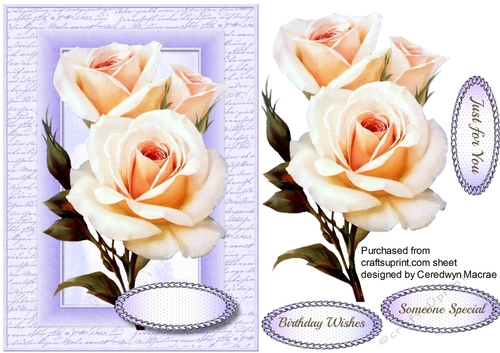 Beautiful White roses on script Frame 5 - CUP716882_1398 | Craftsuprint