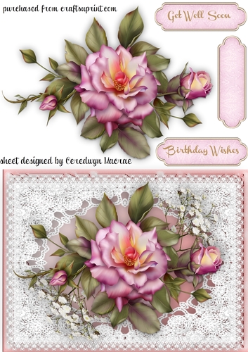 Stunning Roses on Vintage Lace - CUP728616_1398 | Craftsuprint