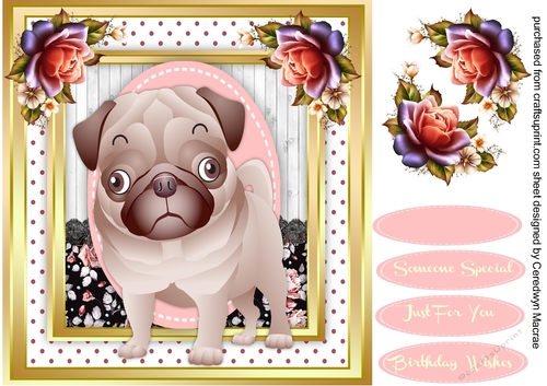 Adorable Pug in a Stitched frame - CUP748844_1398 | Craftsuprint