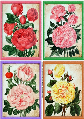 4 Beautiful Roses notelets 1, - CUP755066_1398 | Craftsuprint